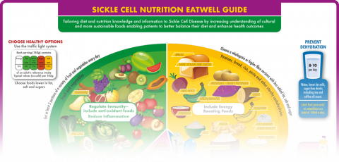Resource Download – Eat Well Guide | Sickle Cell Nutrition Academy