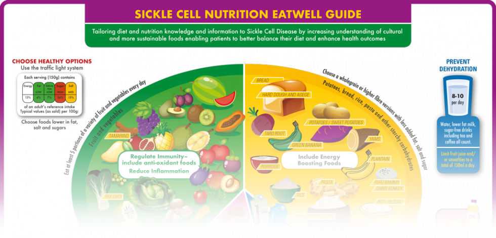 Resource Download – Eat Well Guide | Sickle Cell Nutrition Academy